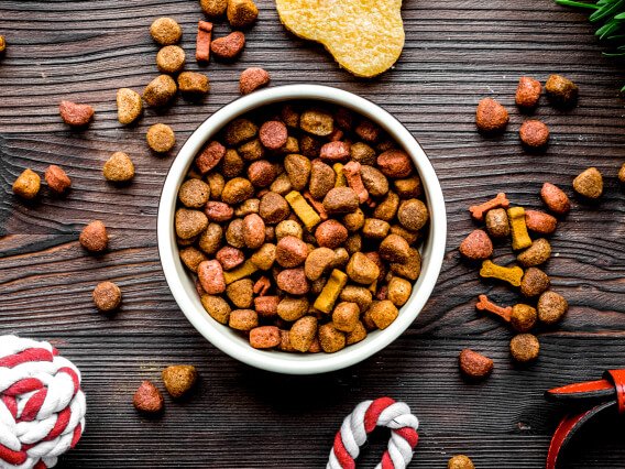 Pet Food & Animal Nutrition | SMS Corporation Company Limited